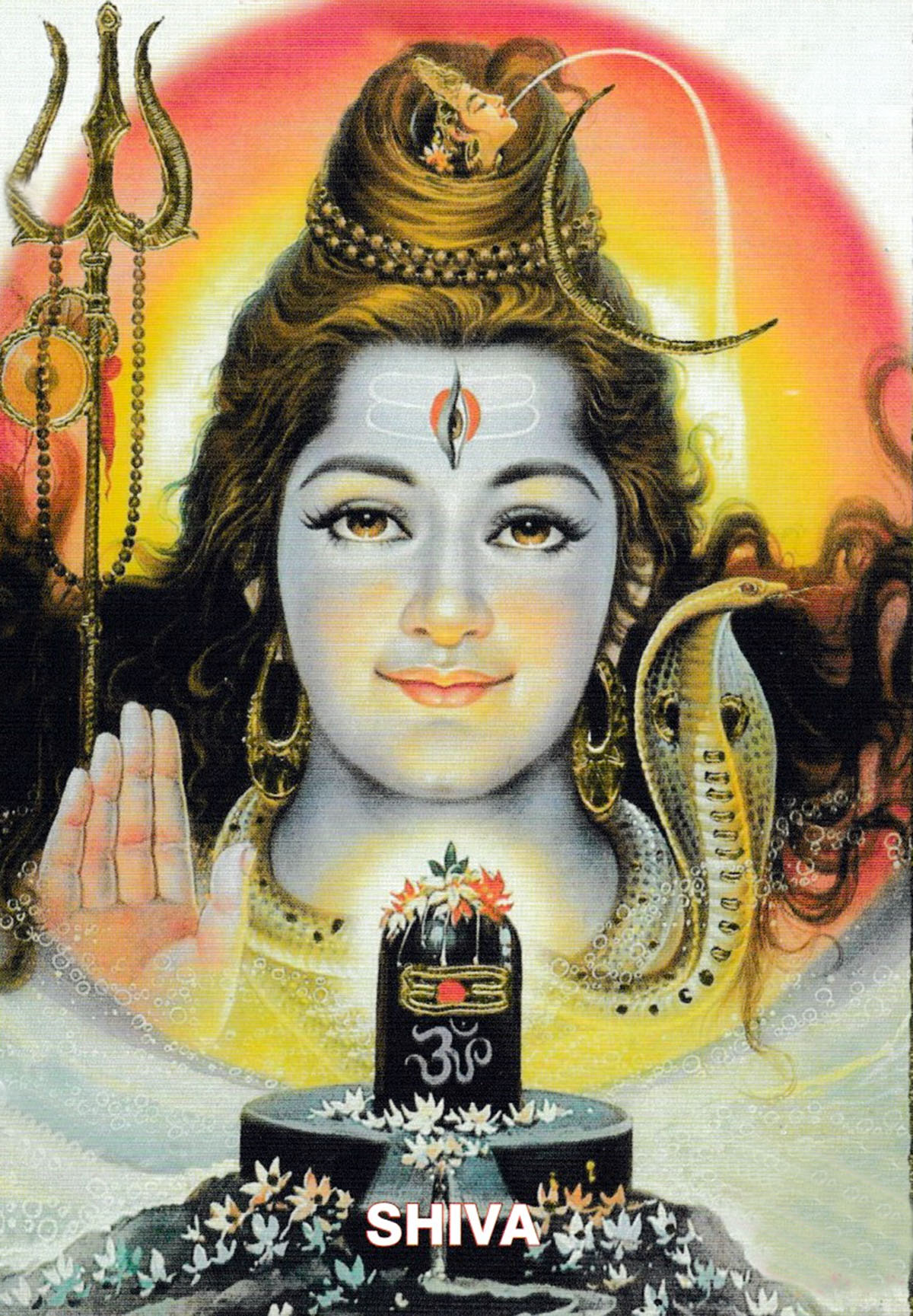 Vadher (Jan-Kshatriya) Parivar UK